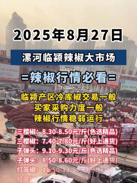 辣椒价格最新行情_辣椒为什么涨价-第3张图片-山城妙识 辣椒价格最新行情_辣椒为什么涨价-第3张图片-山城妙识