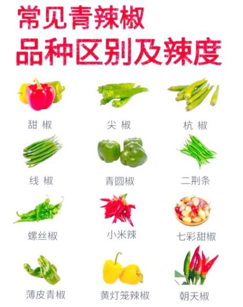 中国最辣的辣椒排名_到底有多辣-第2张图片-山城妙识