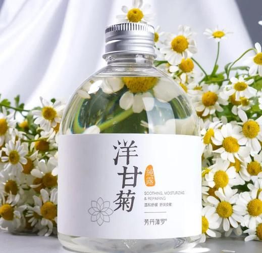 洋甘菊纯露的功效与作用_洋甘菊纯露怎么使用-第3张图片-山城妙识 洋甘菊纯露的功效与作用_洋甘菊纯露怎么使用-第3张图片-山城妙识