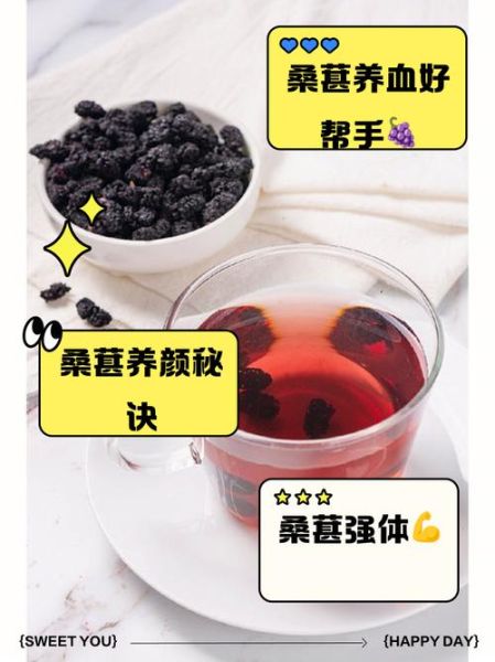 黑桑葚泡水喝的功效_黑桑葚干泡水正确方法-第2张图片-山城妙识 黑桑葚泡水喝的功效_黑桑葚干泡水正确方法-第2张图片-山城妙识