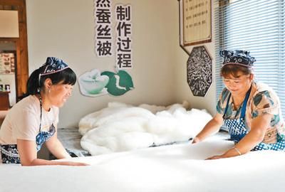 蚕茧怎么处理才能做成蚕丝被_蚕丝被制作全过程-第1张图片-山城妙识 蚕茧怎么处理才能做成蚕丝被_蚕丝被制作全过程-第1张图片-山城妙识