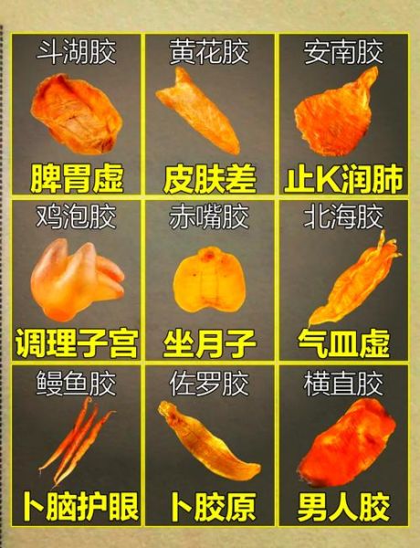 鱼胶怎么吃最有效果_鱼胶什么时候吃最好-第3张图片-山城妙识 鱼胶怎么吃最有效果_鱼胶什么时候吃最好-第3张图片-山城妙识