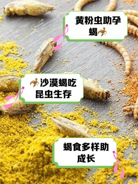 蝎子吃什么_蝎子食物有哪些-第1张图片-山城妙识