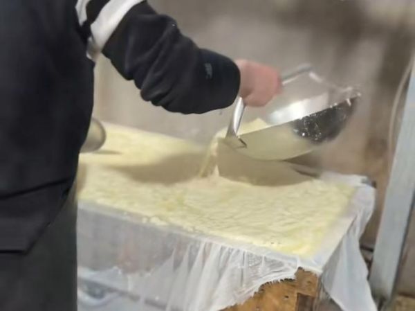 卤水点豆腐的原理是什么_卤水点豆腐怎么做-第3张图片-山城妙识 卤水点豆腐的原理是什么_卤水点豆腐怎么做-第3张图片-山城妙识