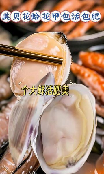蛤蜊和花甲哪个贵_价格差异有多大-第2张图片-山城妙识