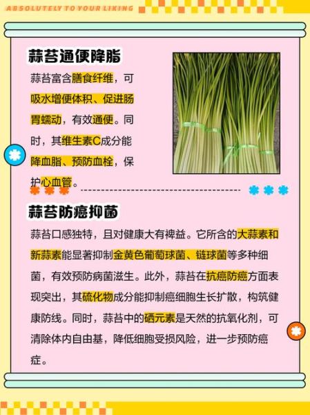 蒜苔的功效与作用有哪些_蒜苔吃多了有什么害处-第2张图片-山城妙识