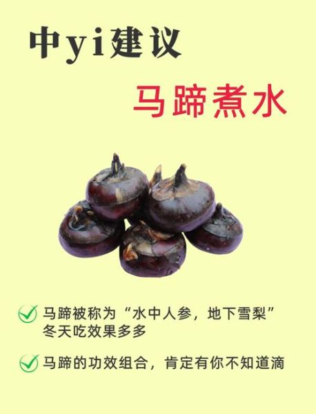 马蹄怎么煮好吃_马蹄煮多久才脆甜-第2张图片-山城妙识 马蹄怎么煮好吃_马蹄煮多久才脆甜-第2张图片-山城妙识