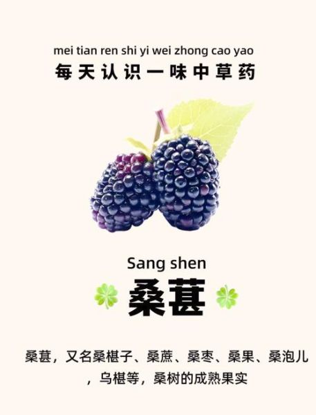 桑椹子图片_桑椹子功效与作用-第2张图片-山城妙识 桑椹子图片_桑椹子功效与作用-第2张图片-山城妙识