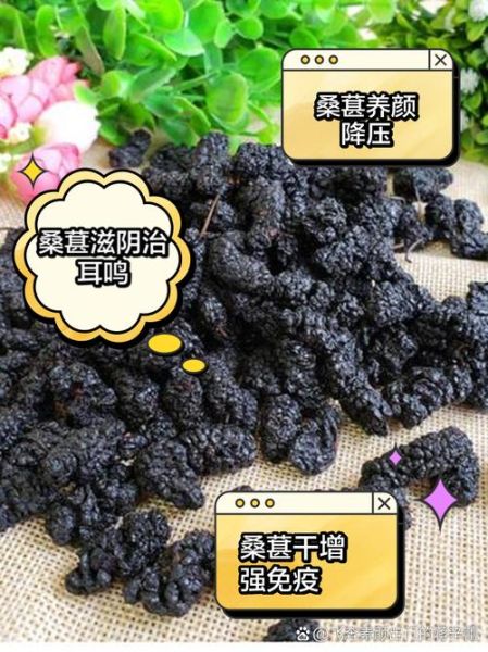 桑椹子图片_桑椹子功效与作用-第3张图片-山城妙识 桑椹子图片_桑椹子功效与作用-第3张图片-山城妙识