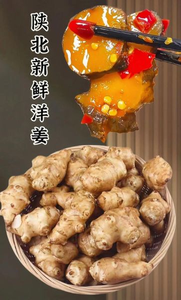 鲜洋姜怎么吃_鲜洋姜的做法大全-第1张图片-山城妙识