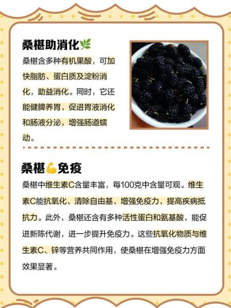 桑椹的功效与作用有哪些_桑椹的正确吃法是什么-第2张图片-山城妙识 桑椹的功效与作用有哪些_桑椹的正确吃法是什么-第2张图片-山城妙识