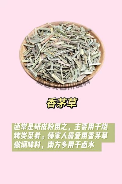 香草的功效与作用_香草有哪些药用价值-第1张图片-山城妙识 香草的功效与作用_香草有哪些药用价值-第1张图片-山城妙识