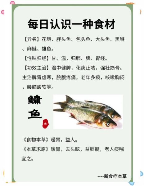 鳙鱼的营养价值及功效_鳙鱼怎么吃最补脑-第1张图片-山城妙识 鳙鱼的营养价值及功效_鳙鱼怎么吃最补脑-第1张图片-山城妙识