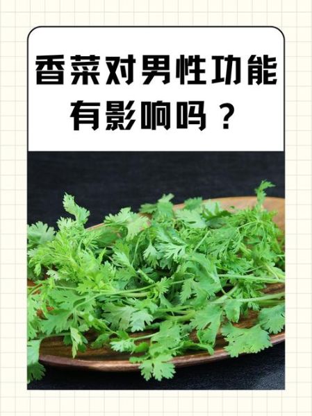 香菜杀精有科学依据吗_香菜影响精子质量真相-第1张图片-山城妙识