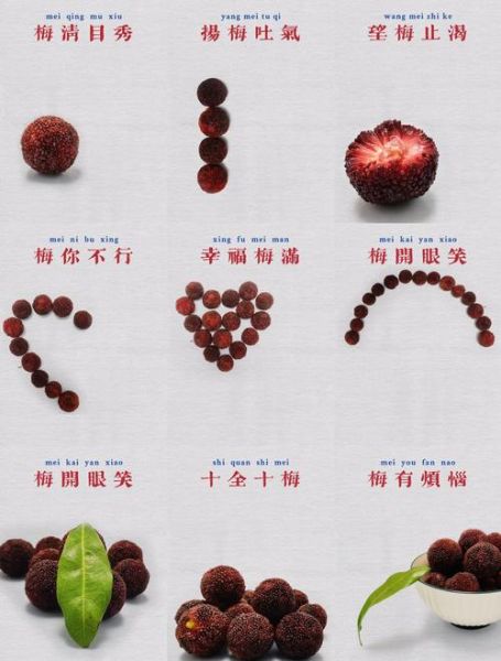 杨梅怎么腌制好吃_杨梅腌制方法步骤-第2张图片-山城妙识