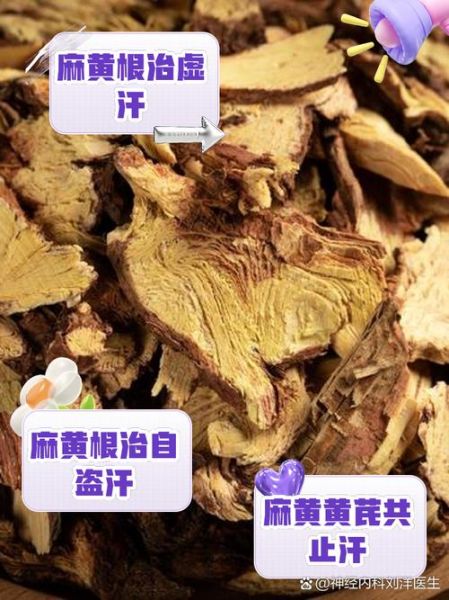 麻根的功效与作用_麻根能治疗哪些疾病-第1张图片-山城妙识