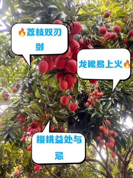 热性水果有哪些_热性水果吃了会上火吗-第2张图片-山城妙识 热性水果有哪些_热性水果吃了会上火吗-第2张图片-山城妙识