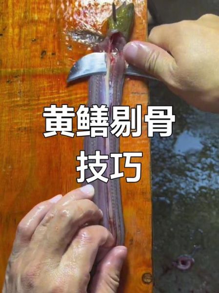 黄鳝要先开水烫死再杀吗_黄鳝怎么处理干净-第1张图片-山城妙识 黄鳝要先开水烫死再杀吗_黄鳝怎么处理干净-第1张图片-山城妙识