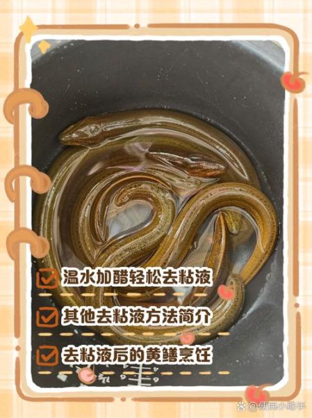 黄鳝要先开水烫死再杀吗_黄鳝怎么处理干净-第2张图片-山城妙识 黄鳝要先开水烫死再杀吗_黄鳝怎么处理干净-第2张图片-山城妙识