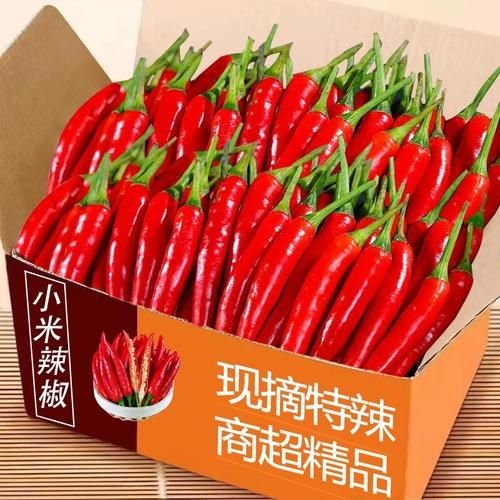 野山椒和小米椒的区别_哪个更辣-第2张图片-山城妙识 野山椒和小米椒的区别_哪个更辣-第2张图片-山城妙识