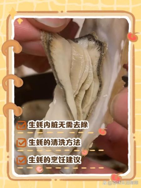 生蚝怎么处理内脏_生蚝内脏清理步骤-第2张图片-山城妙识 生蚝怎么处理内脏_生蚝内脏清理步骤-第2张图片-山城妙识