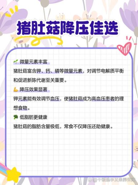 猪肚菇图片_如何辨别真假猪肚菇-第3张图片-山城妙识 猪肚菇图片_如何辨别真假猪肚菇-第3张图片-山城妙识