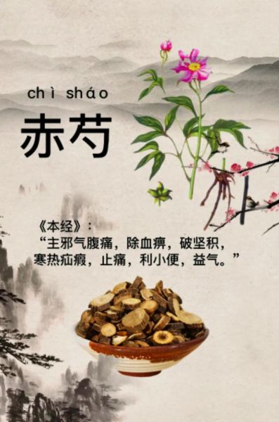 赤芍的功效与作用有哪些_赤芍的禁忌症是什么-第2张图片-山城妙识 赤芍的功效与作用有哪些_赤芍的禁忌症是什么-第2张图片-山城妙识