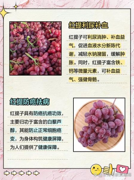 进口红提的功效与作用_进口红提营养价值高吗-第1张图片-山城妙识