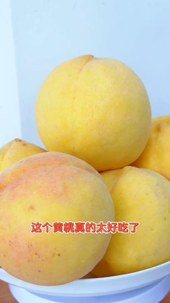 黄桃图片大全_如何挑选新鲜黄桃-第2张图片-山城妙识 黄桃图片大全_如何挑选新鲜黄桃-第2张图片-山城妙识