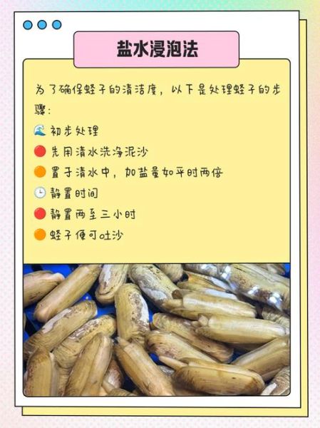 蛏子怎么清洗_蛏子怎么吃图解-第2张图片-山城妙识