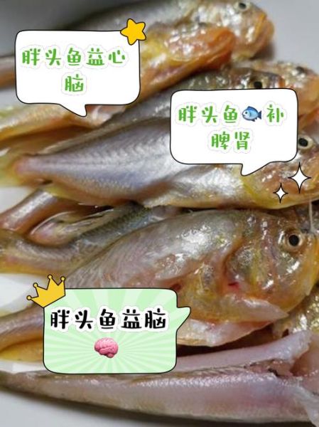 鳙鱼的营养价值高吗_鳙鱼的缺点有哪些-第2张图片-山城妙识 鳙鱼的营养价值高吗_鳙鱼的缺点有哪些-第2张图片-山城妙识