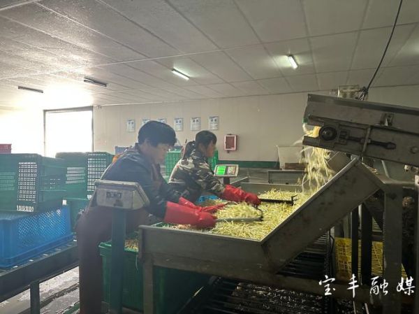 豆腐加工厂赚钱吗_2024年豆腐产业前景如何-第3张图片-山城妙识 豆腐加工厂赚钱吗_2024年豆腐产业前景如何-第3张图片-山城妙识