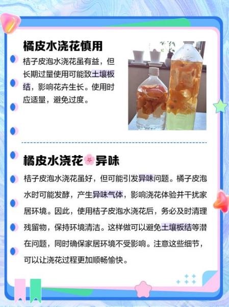橘子皮泡水浇花好吗_怎么用不烧根-第1张图片-山城妙识 橘子皮泡水浇花好吗_怎么用不烧根-第1张图片-山城妙识