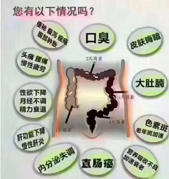 酵素减肥原理是什么_酵素减肥真的有用吗-第1张图片-山城妙识 酵素减肥原理是什么_酵素减肥真的有用吗-第1张图片-山城妙识