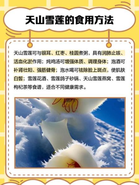 天山雪莲多少钱一克_天山雪莲价格影响因素-第1张图片-山城妙识 天山雪莲多少钱一克_天山雪莲价格影响因素-第1张图片-山城妙识