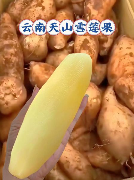 天山雪莲多少钱一克_天山雪莲价格影响因素-第2张图片-山城妙识 天山雪莲多少钱一克_天山雪莲价格影响因素-第2张图片-山城妙识