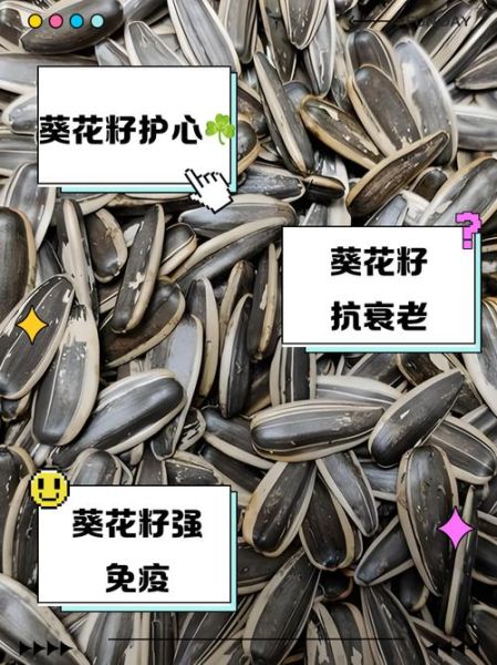 葵花籽的功效与作用_葵花籽怎么吃最健康-第2张图片-山城妙识