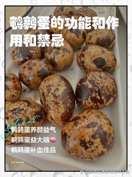 鹌鹑蛋的功效与作用及禁忌_鹌鹑蛋什么人不能吃-第2张图片-山城妙识 鹌鹑蛋的功效与作用及禁忌_鹌鹑蛋什么人不能吃-第2张图片-山城妙识