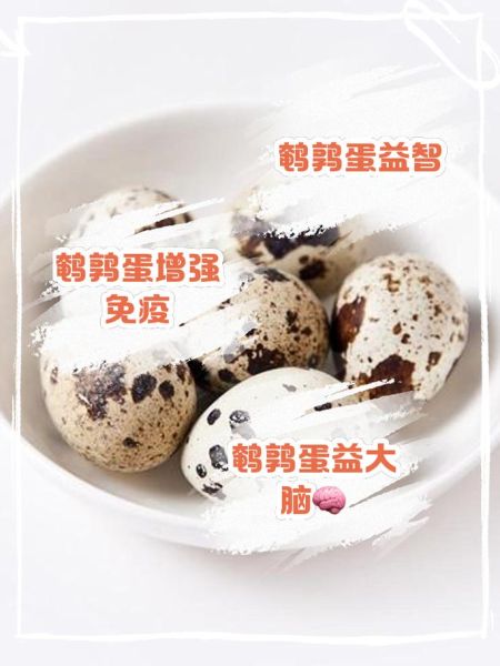 鹌鹑蛋的功效与作用及禁忌_鹌鹑蛋什么人不能吃-第1张图片-山城妙识 鹌鹑蛋的功效与作用及禁忌_鹌鹑蛋什么人不能吃-第1张图片-山城妙识