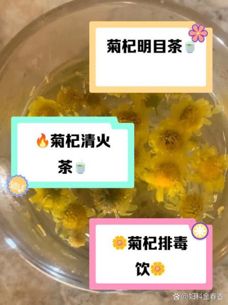 野菊花泡水喝的功效_野菊花和什么搭配最好-第1张图片-山城妙识 野菊花泡水喝的功效_野菊花和什么搭配最好-第1张图片-山城妙识
