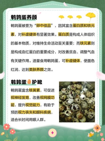 鹌鹑蛋的功效与作用及禁忌_鹌鹑蛋什么人不能吃-第3张图片-山城妙识 鹌鹑蛋的功效与作用及禁忌_鹌鹑蛋什么人不能吃-第3张图片-山城妙识