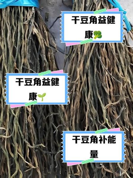 豆角的营养价值及功效_吃豆角有什么好处-第2张图片-山城妙识 豆角的营养价值及功效_吃豆角有什么好处-第2张图片-山城妙识