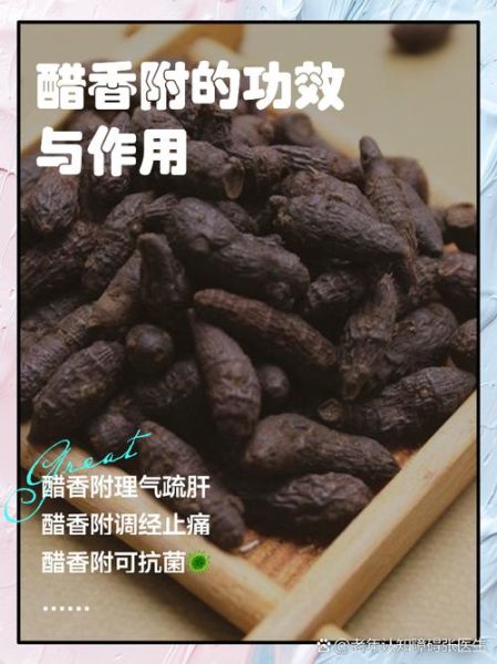 醋香附的功效与作用_醋香附主治什么病-第1张图片-山城妙识 醋香附的功效与作用_醋香附主治什么病-第1张图片-山城妙识