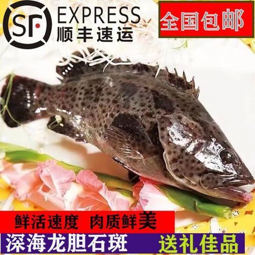 老虎斑和龙胆鱼的区别_哪个更贵更好吃-第1张图片-山城妙识