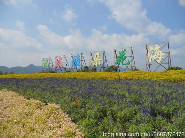 玛琪雅朵花海门票多少钱_玛琪雅朵花海在哪里-第3张图片-山城妙识 玛琪雅朵花海门票多少钱_玛琪雅朵花海在哪里-第3张图片-山城妙识