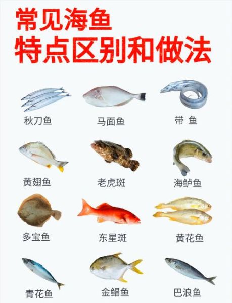 鳙鱼和鲢鱼食性区别_哪个更爱吃浮游动物-第2张图片-山城妙识 鳙鱼和鲢鱼食性区别_哪个更爱吃浮游动物-第2张图片-山城妙识