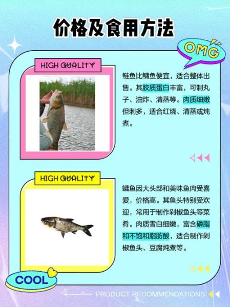 鲢鱼和鲢鳙是一种鱼吗_区别与联系全解析-第2张图片-山城妙识 鲢鱼和鲢鳙是一种鱼吗_区别与联系全解析-第2张图片-山城妙识