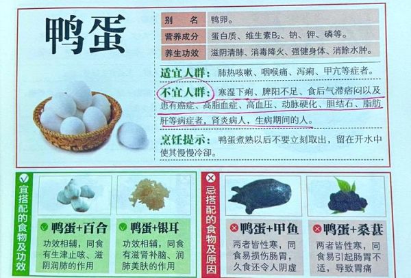 鸭蛋的功效与作用_鸭蛋的禁忌有哪些-第1张图片-山城妙识 鸭蛋的功效与作用_鸭蛋的禁忌有哪些-第1张图片-山城妙识