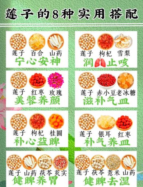 莲子怎么吃最养心安神_莲子功效与主治有哪些-第1张图片-山城妙识
