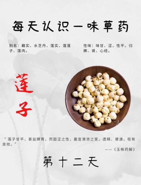 莲子怎么吃最养心安神_莲子功效与主治有哪些-第2张图片-山城妙识